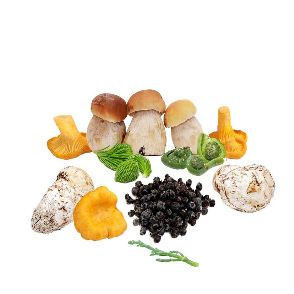 * FROZEN WILD PRODUCTS * – West Coast Wild Foods