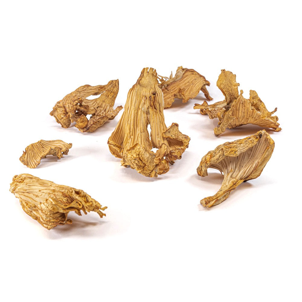 Dried - Wild Mushrooms – West Coast Wild Foods