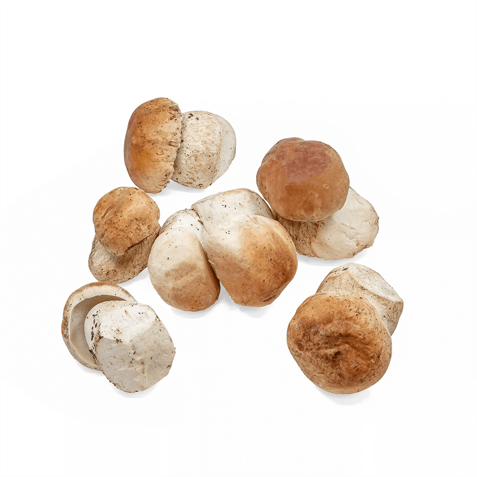 Fresh Wild Mushrooms – West Coast Wild Foods