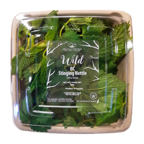 Fresh Wild Stinging Nettle – West Coast Wild Foods