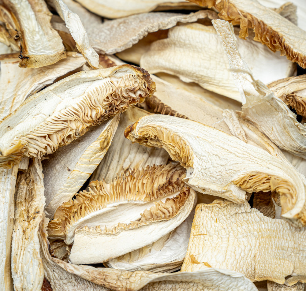 Dried Wild Mushrooms – West Coast Wild Foods
